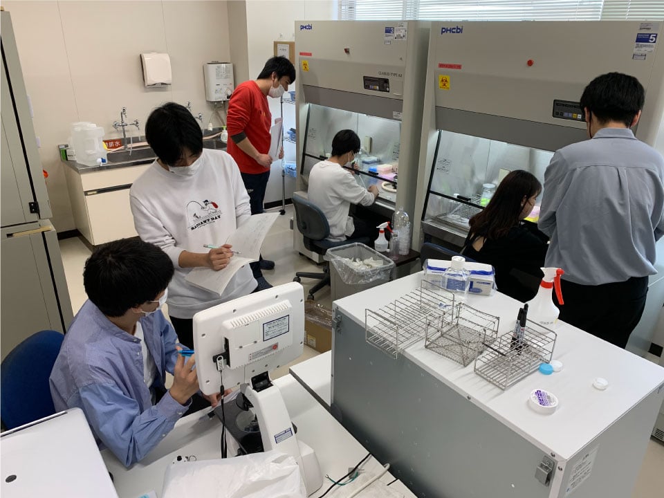 【教授が紹介する】大学生が知っておくべき研究室の選び方とは - Lab BRAINS